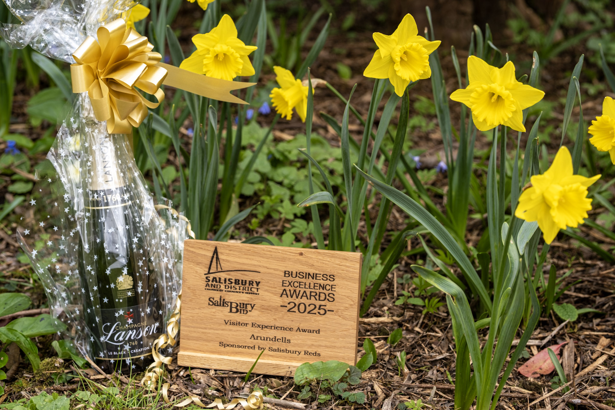 Arundells Wins Visitor Experience Award at Salisbury Business ...